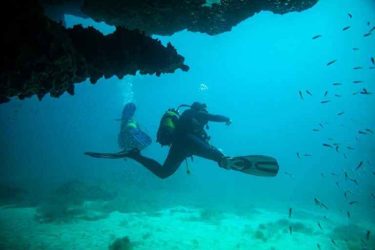 Sea Tours in Oman, Diving in Oman – Sea Tours in Oman, Diving in Oman